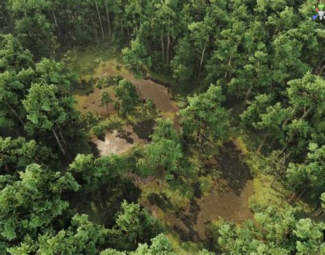 Kacper Szwajka On Linkedin Unity3d Gamedev