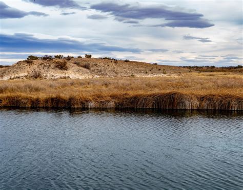 300 무료 Oasis And 오아시스 이미지 Pixabay