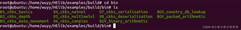 Ubuntu2004搭建helib过程及使用helib库 Csdn博客