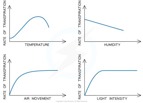 The Process Of Transpiration Ocr A Level Biology