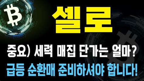 셀로 코인 중요 세력 매집 단가는 얼마 급등 순환매 준비하셔야 합니다 Youtube