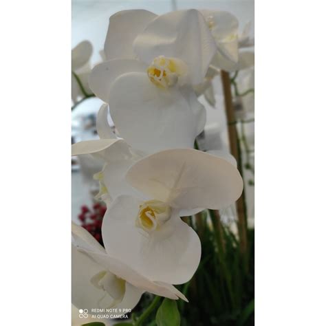 Орхидеи с естествен вид в керамична саксия 80 см 4 тел Бяла Emag Bg