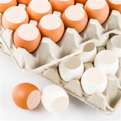 Egg Shells Brown 300pk