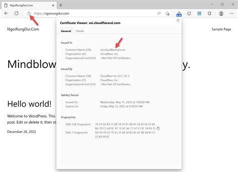 Aapanel Hosting Control Panel Bibica Net