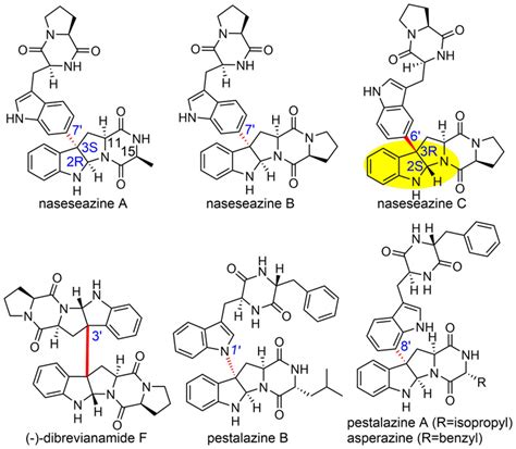 吡咯并吲哚生物碱的高效生物合成 X MOL资讯