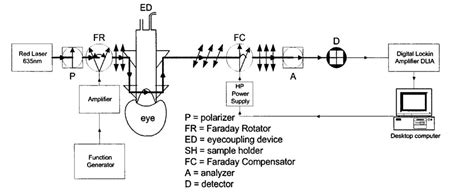 Effect Of Temperature Ph And Corneal Birefringence On Polarimetric