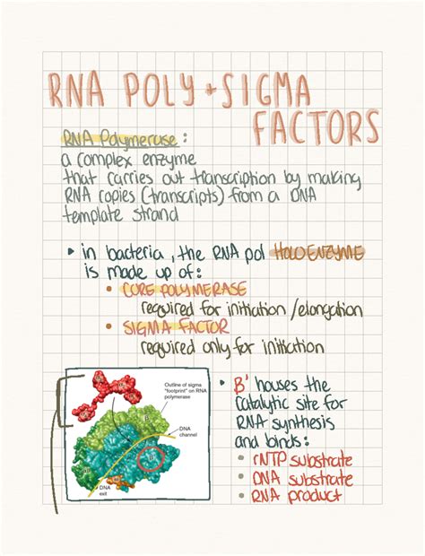 Lecture 8 Notes RN A POLY SIGMA FACTORS RYomPiYEmé that carries