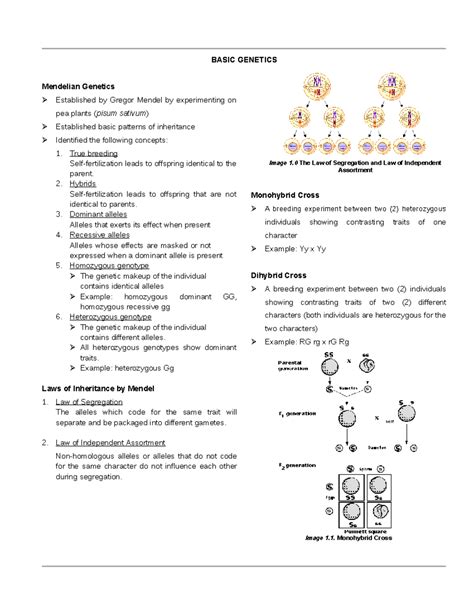 Basic Genetics Basic Genetics Mendelian Genetics Established By