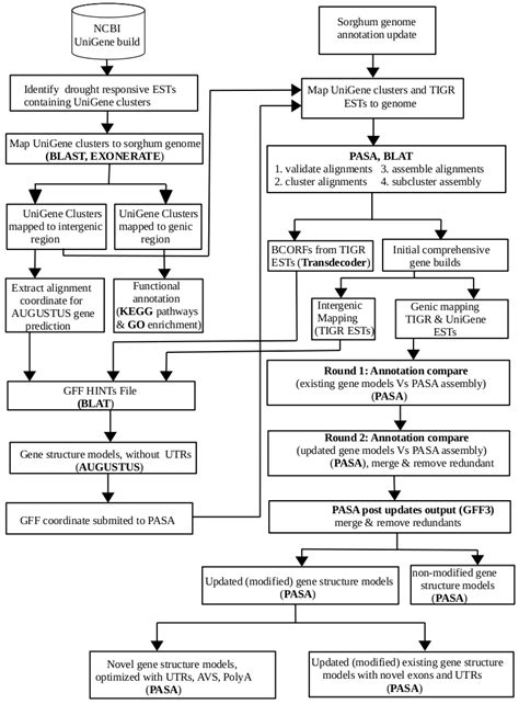 1 Pipeline For Mapping Experimental Data To Reference Genome And