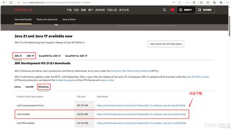 多个 Jdk 版本（java 8、java 17、java 21）下载和切换jdk8和jdk21切换 Csdn博客
