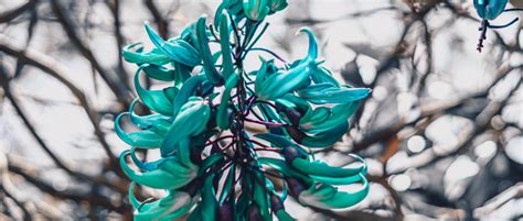 5 Rules For Choosing The Best Color For Your Label Artwork