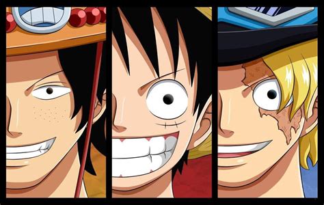 One Piece Luffy Brother