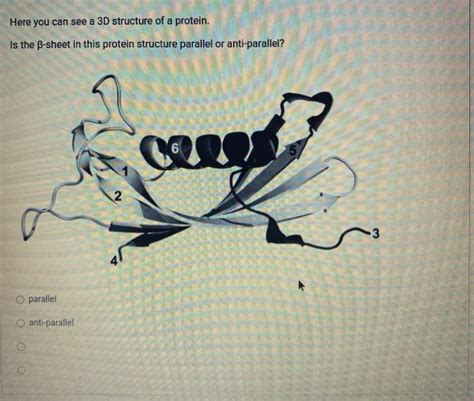 Solved What Is The Tertiary Structure Of Myoglobin α β All
