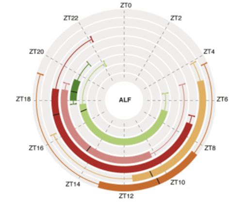 R Adding Grey Concentric Circles To Circular Boxplot Background Stack Overflow