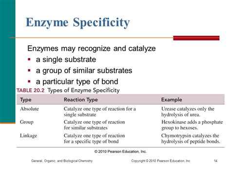 Specificity Of Enzymes Meaning Types Examples And FAQs OFF