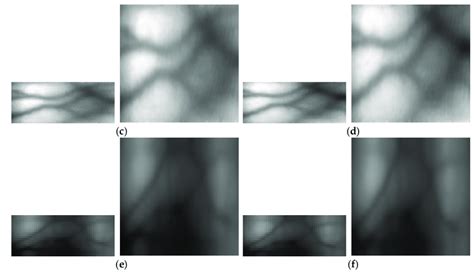 Examples Of Finger Vein Roi And Their Corresponding Input Image To The Download Scientific