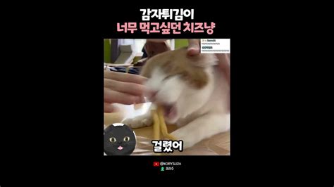 분명 손은 눈보다 빠르다 했는데 😿 Youtube