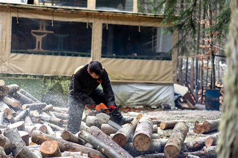한 남자가 야외에서 전기톱으로 나무를 자른다 겨울을위한 장작 준비 가을에 대한 스톡 사진 및 기타 이미지 가을 겨울 나무 Istock