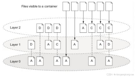 Docker数据管理和网络管理docker 管理 Csdn博客