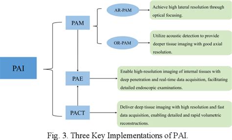 Figure 3 From Advances In Photoacoustic Imaging Reconstruction And Quantitative Analysis For
