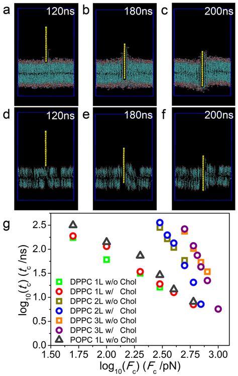 Fig S14 The Effect Of Membrane Composition On Lipid Extractions And