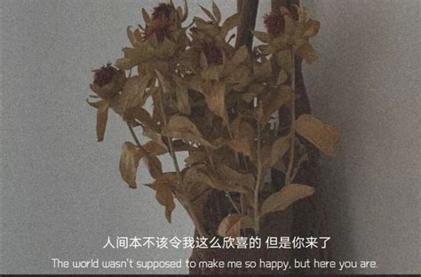 特喜欢村上春树的一句话不必太纠结于当下 堆糖美图壁纸兴趣社区