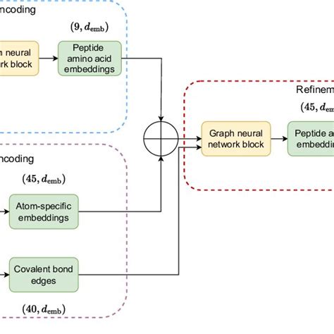Neural Network Architecture Each Model Stage Pmhc Interface Encoding