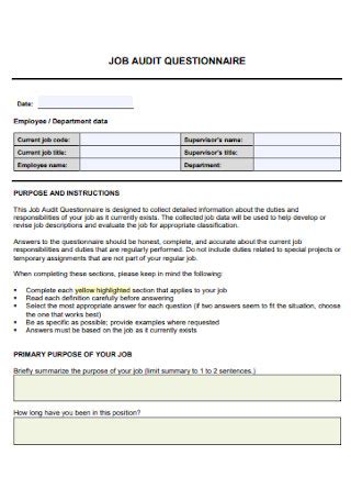 SAMPLE Audit Questionnaire Templates In PDF MS Word
