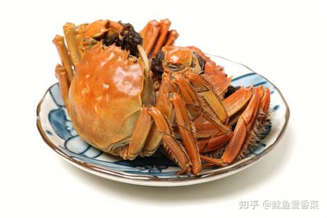 选螃蟹这几招你得知道 知乎