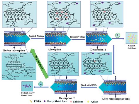 Schematic Illustration Of Separation And Recovery Of Heavy Metal Ions