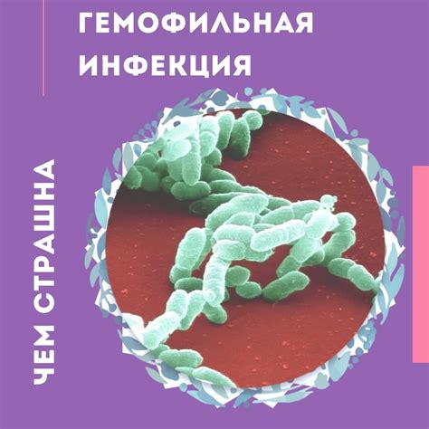 Turkinamassage В чём опасность гемофильной инфекции для детей ⠀ ⠀ 💊 ГЕМОФИЛЬНАЯ инфекция ХИБ