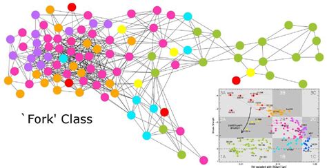 Network Diagram With The Nodes Color Coded By Their Fork Download Scientific Diagram