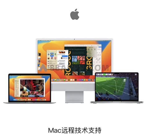 Mac Safari 密码查看全指南！3 步快速获取保存的账户密码 拜拜软件