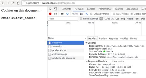 Web Security Hardening Cookies