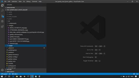 gatsby does not generate some images files in the static folder after run gatsby clean and