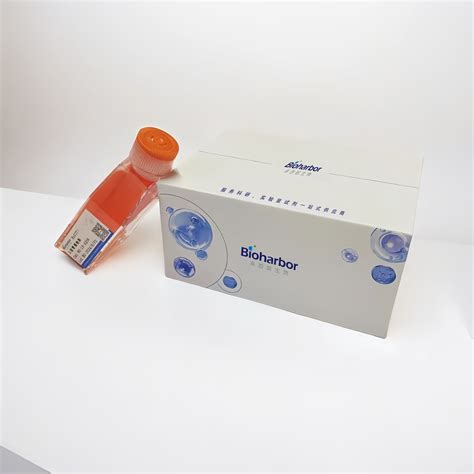 人真皮成纤维细胞永生化 Sv40转染 Hsf 人源细胞系 产品中心 来百哈