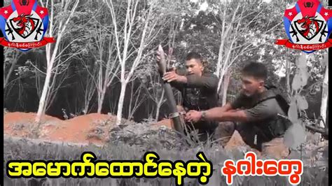 နဂါးတွေ အမောက်ထောင်နေတဲ့နေ့🐍🐍🐍 Youtube