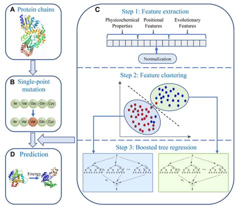 上海交通大学人工智能与微结构实验室在蛋白质突变自由能预测方面发表高水平期刊论文 知乎
