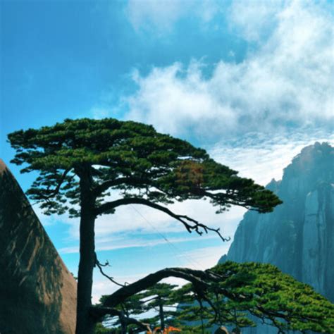 Wenjun Zhang Nanjing University Of Science And Technology Nanjing