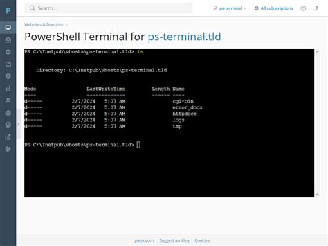 Powershell Terminal Extension Plesk
