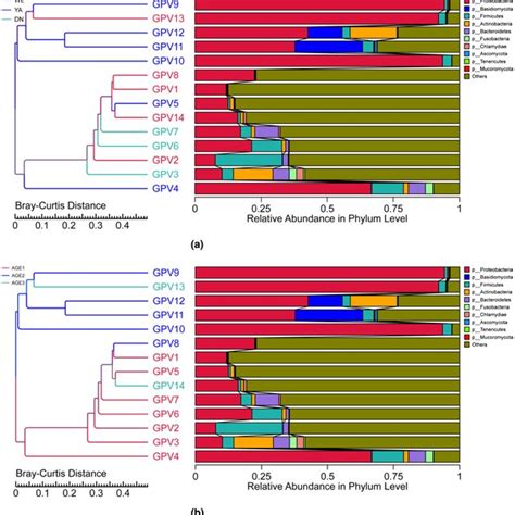 Clustering Tree Based On Bray Curtis Distance A Clustering Tree Download Scientific Diagram