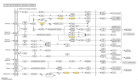 Map04625png Map04625png