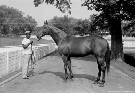 Bloodlines Presented By Walmac Farm Rabelais And The Unkindest Cut Paulick Report Latest