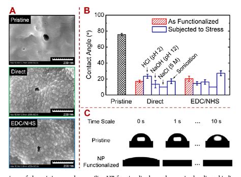 Figure 4 From Highly Hydrophilic Polyvinylidene Fluoride Pvdf Ultrafiltration Membranes Via