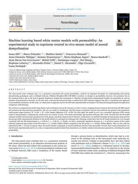 Pdf Machine Learning Based White Matter Models With Permeability An