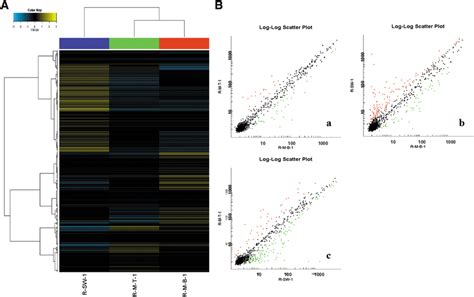 Results Of Mirna Expression Profiles By Mirna Microarray A Cluster