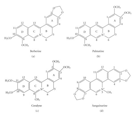 Chemical Structures Of Isoquinoline Alkaloids Download Scientific