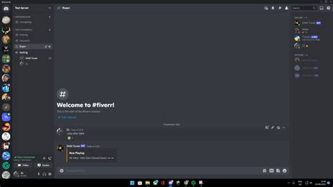 Make A Custom Discord Bot Or Discord Server By Zzsleepy Fiverr