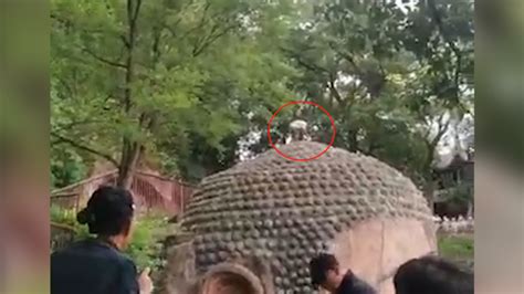 景区回应一男子爬上乐山大佛头顶有关部门正处置 七环视频 澎湃新闻 The Paper
