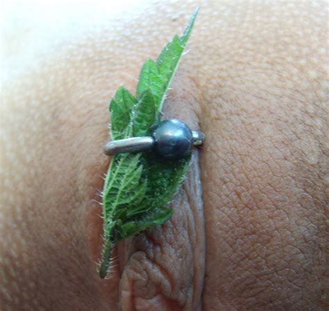 A Painful Bouquet ErosBlog